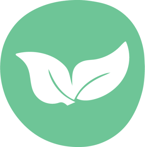 Veggie Life: Vegan Foods | Proudly Made in Maine